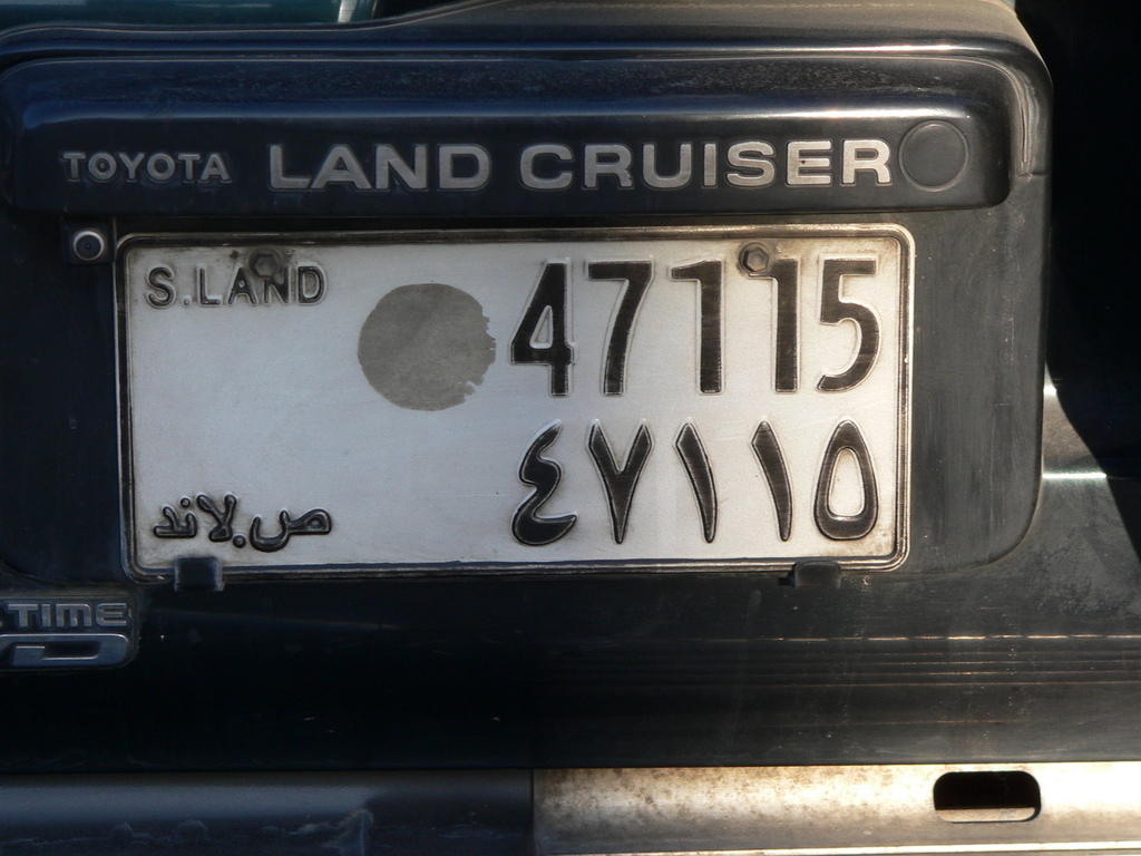 My Brother the Traveler