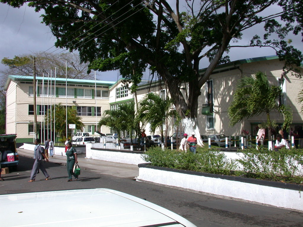 My Brother the Traveler